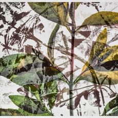 Fifth Annual Juried Spotlight Members’ Exhibition